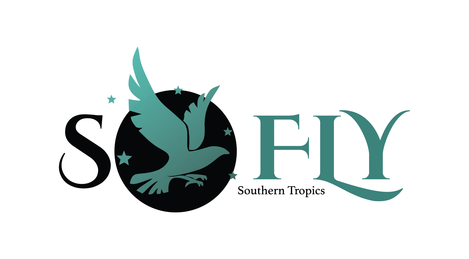 Women in Aviation International(H) - Local Chapter - Representing South ...